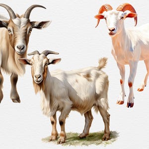Goat Clipart Bundle | Realistic Watercolor Style | 20 Digital Goat ...