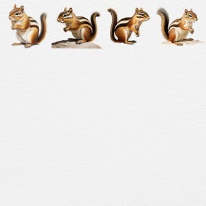 Chipmunk Charm PNG | 20 Watercolor Wonders | Forest Friends Collection ...