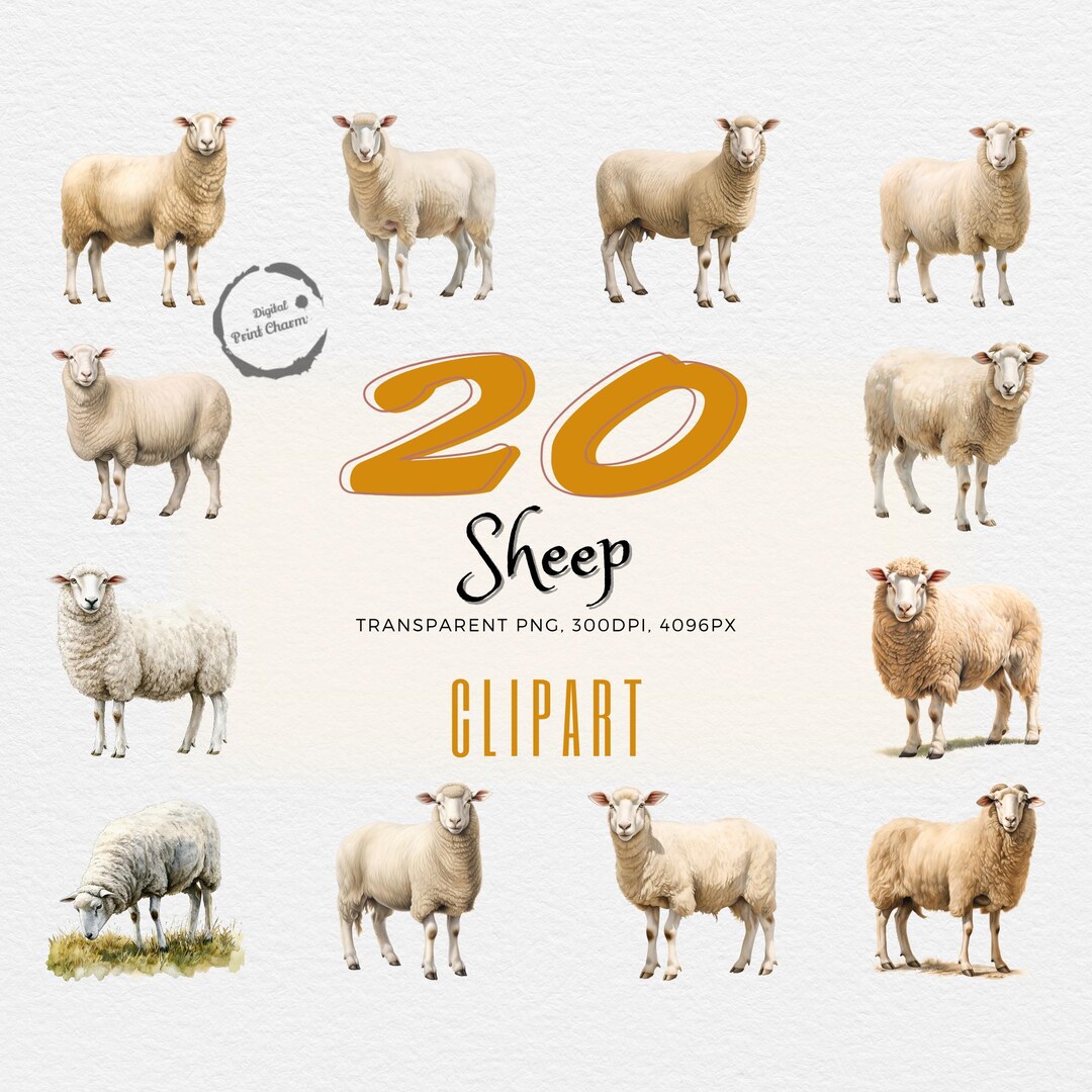 Sheep Watercolor Clipart Set | 20 Realistic Digital Prints | Enrich ...