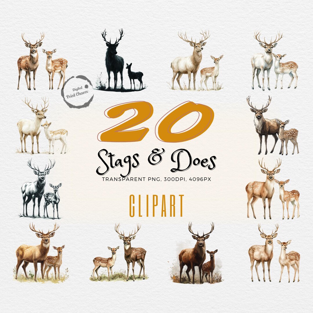 Exclusive Bundle: 20 Realistic Stag and Doe Clipart Bundle | Must-have ...