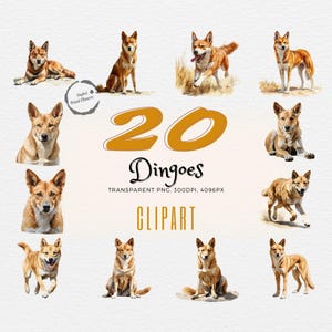 Dingo Dreamscapes | Outback Wonders | Aussie Wild Canine Art | Nature's ...