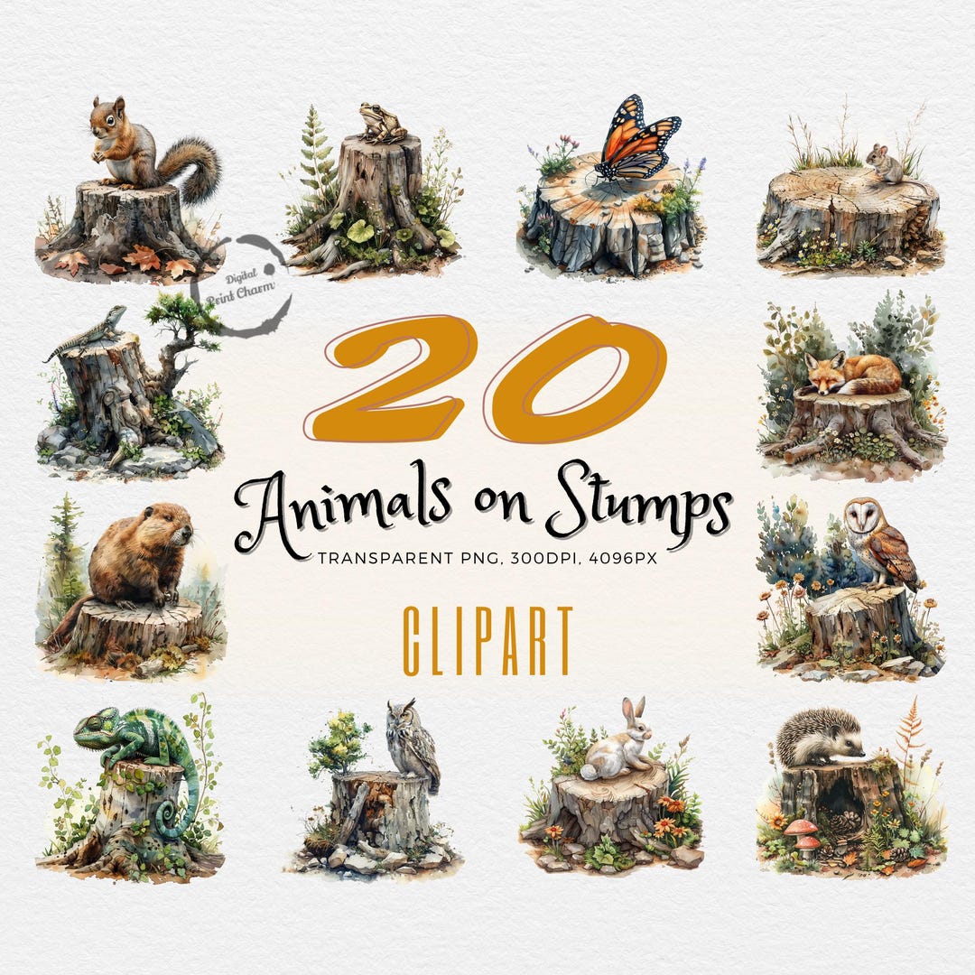 Realistic Woodland Animals on Tree Stumps Clipart Bundle | 20 ...