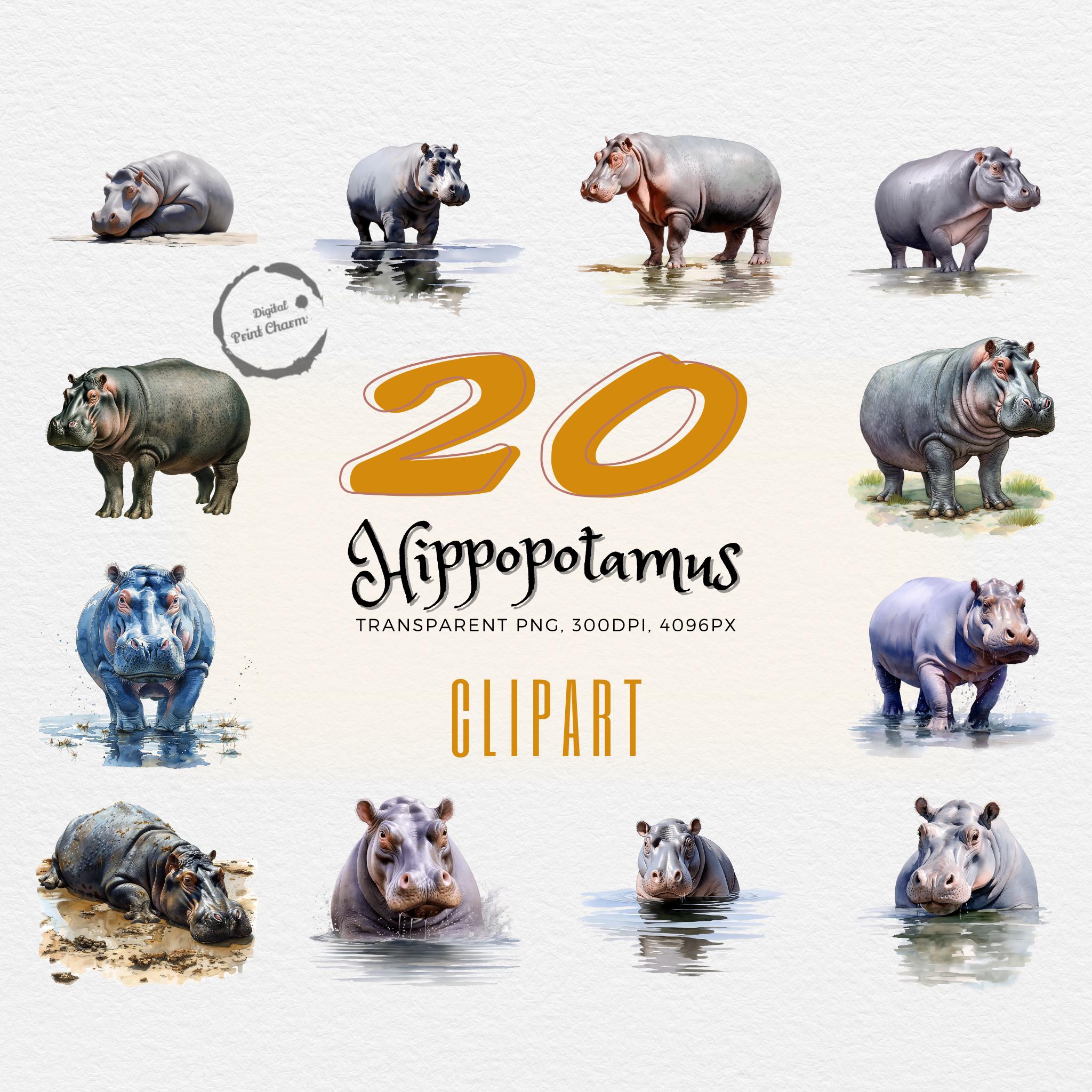 20 Realistic Hippo Prints Watercolor Digital Clipart Essential for ...