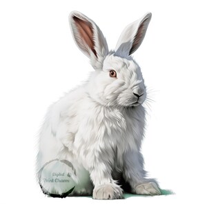 Realistic Rabbit Art Bundle | 20 Watercolor Paintings | Digital Clipart ...