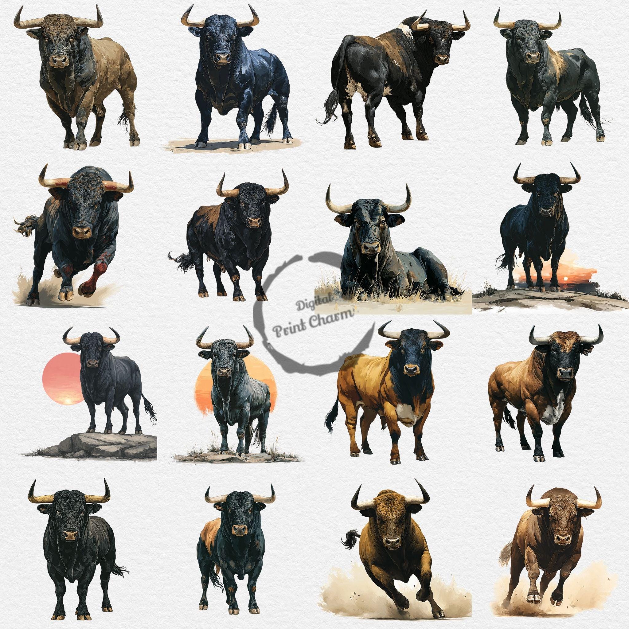 20 Majestic Spanish Bull Clipart | Feel the Power of Andalusia! | Toro ...