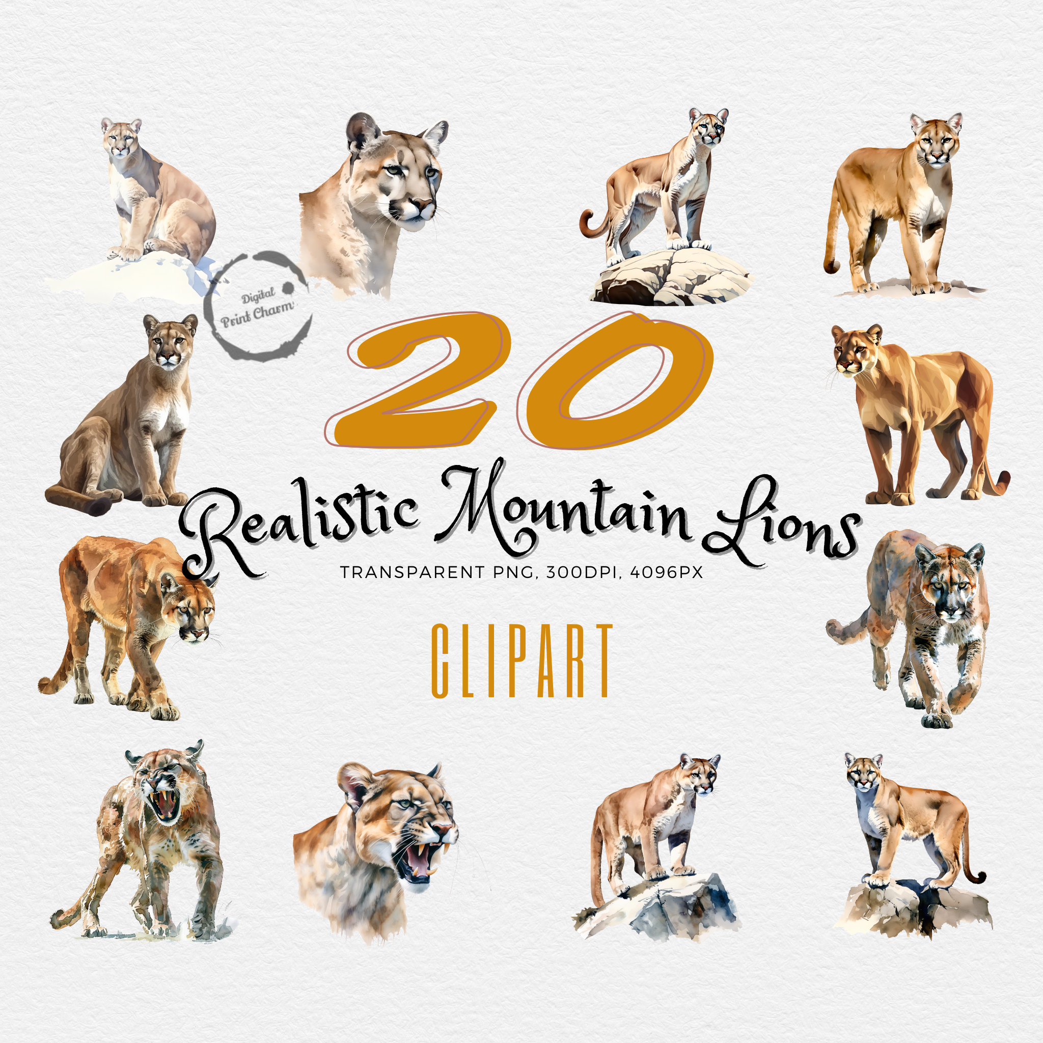 Realistic Mountain Lion Watercolor Clipart Bundle | 20 Majestic Puma ...