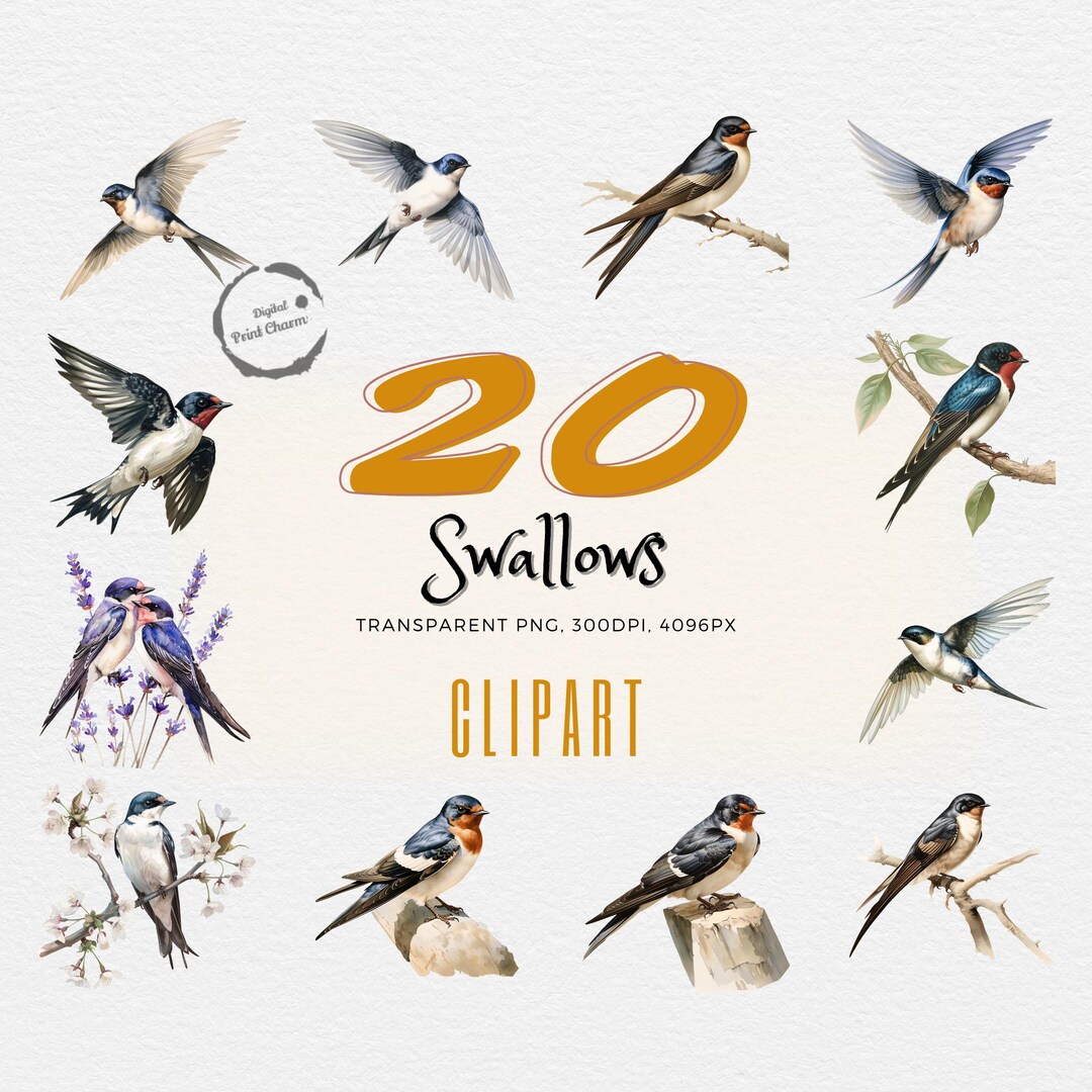 Swallow Watercolor Clipart Bundle | Realistic Bird Prints | 20 Artistic ...