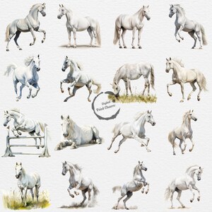 White Horse Watercolor Bundle | 20 Majestic Clipart Digital Prints ...
