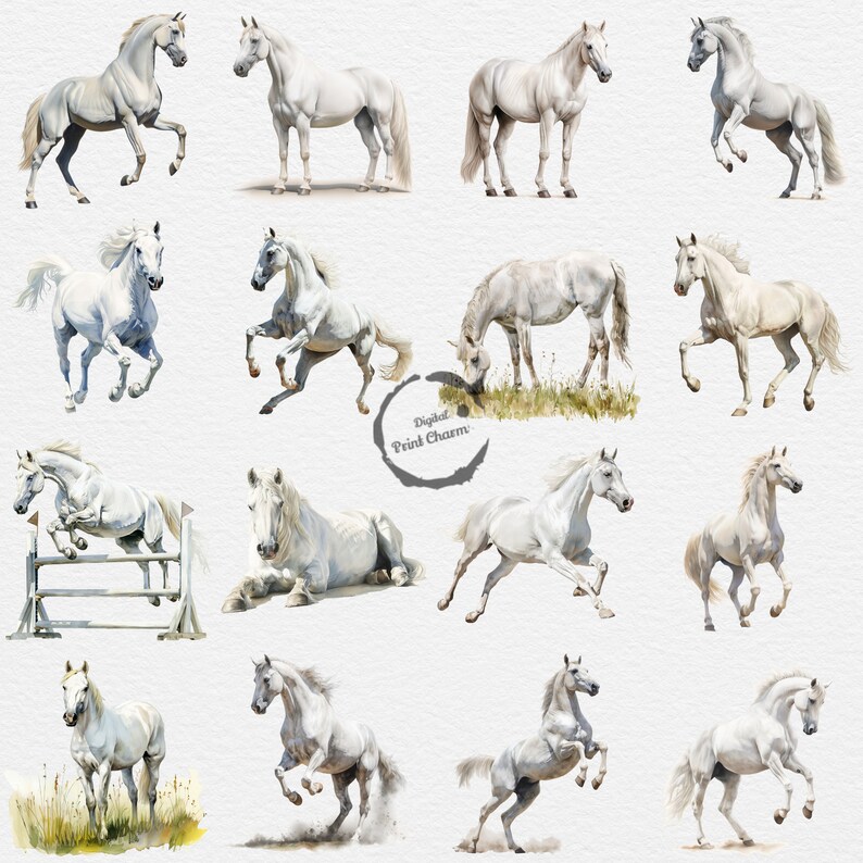 White Horse Watercolor Bundle 20 Majestic Clipart Digital Prints ...
