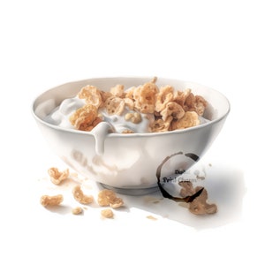 Delightful Cereal Bowl Clipart Bundle | 20 Realistic Breakfast ...