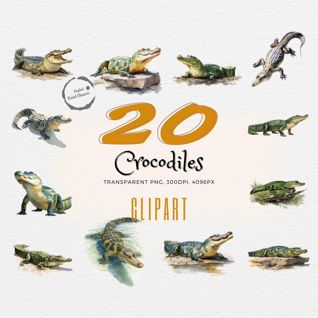 20 Realistic Crocodile Clipart | You Won't Believe the Detail ...