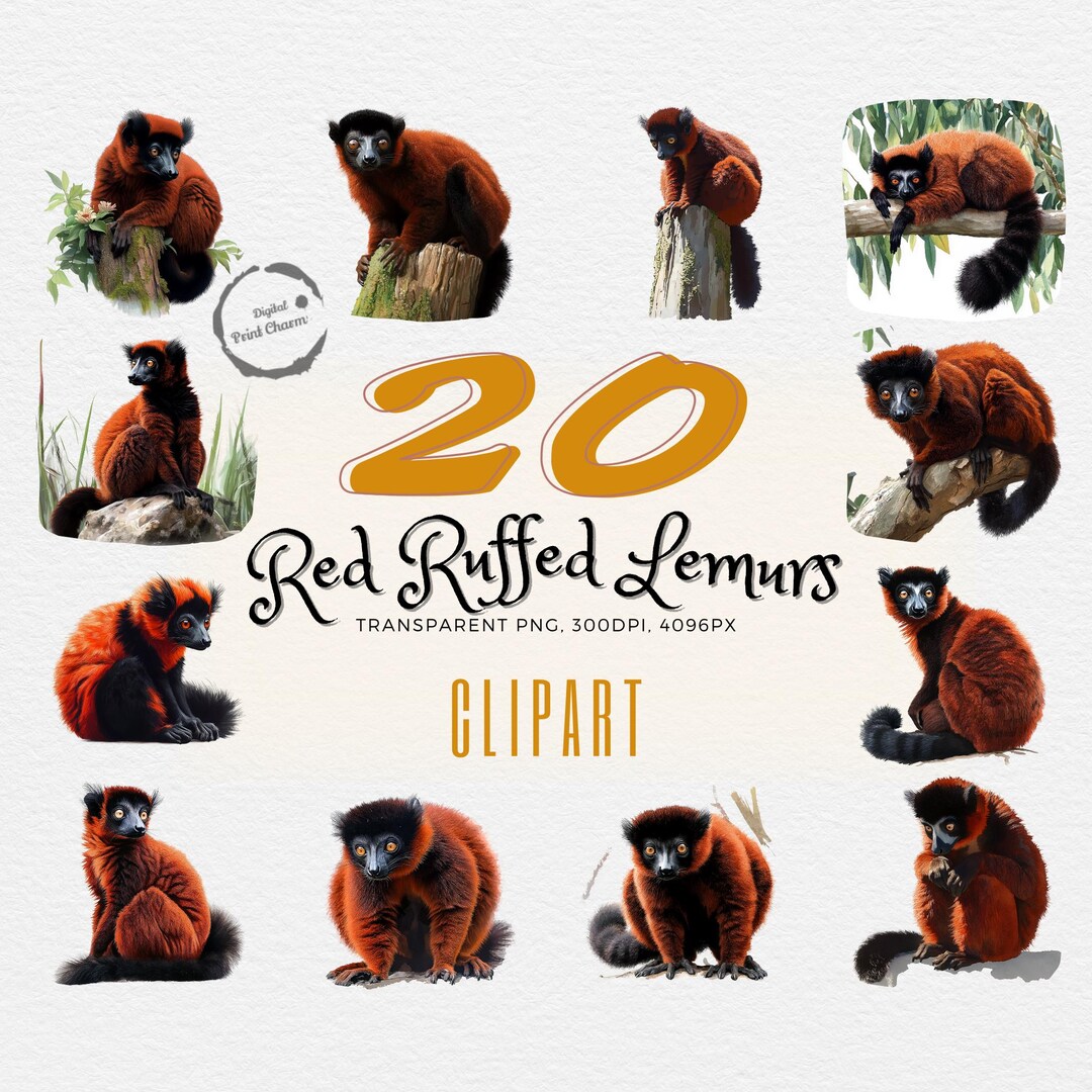 Exclusive 20 Stunning Red Ruffed Lemur Clipart Illustrations Bundle ...