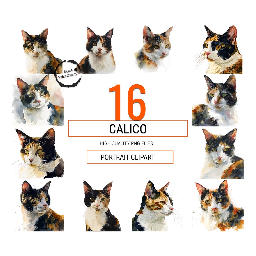 Charming Calico Cat Watercolor Clipart | 16 Realistic Feline Portraits ...