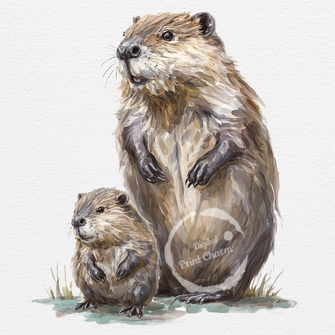 Wildlife Beaver Clipart Bundle | 20 Realistic Beaver Illustrations ...
