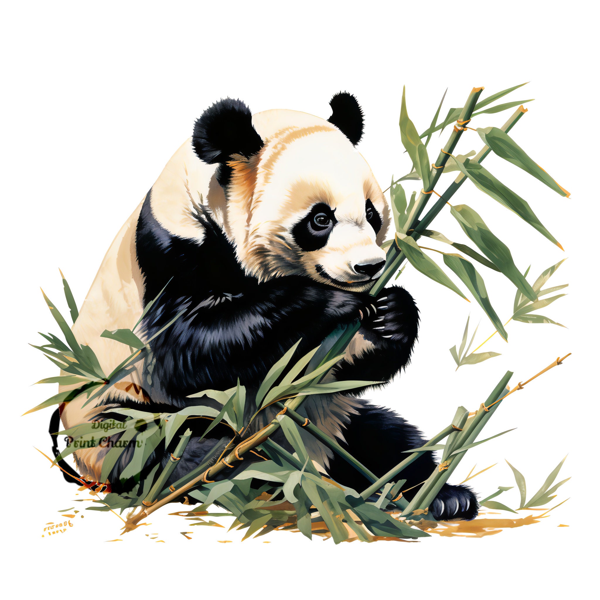 Panda Digital Prints Watercolor Artwork Bundle of 12 - Etsy
