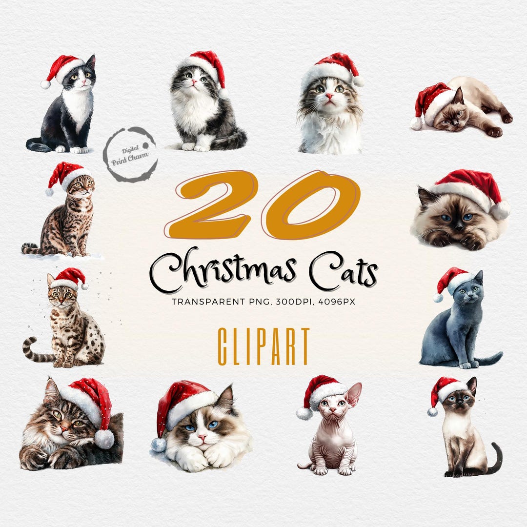 20 Exclusive Christmas Cat Clipart Illustrations Bundle | Must-have ...