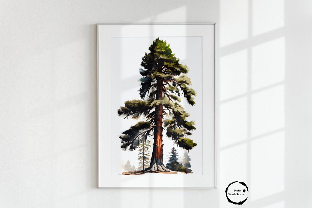 Sequoia Tree, Oil Painting, Digital Printable Art Work, Digital ...