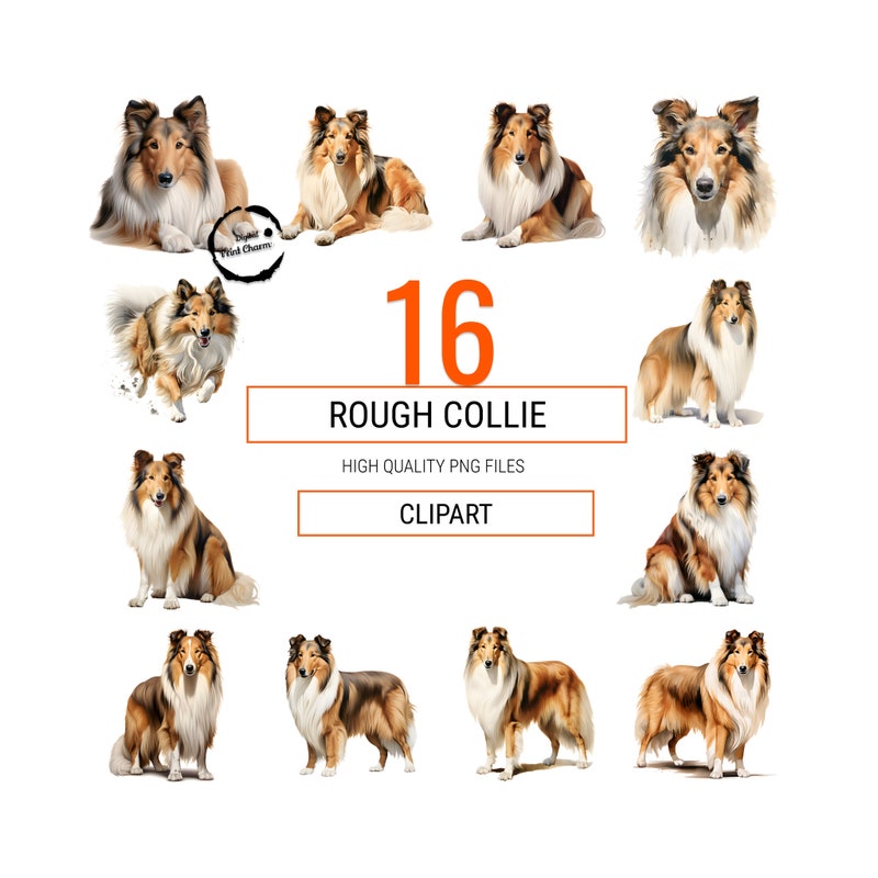 Rough Collie Art - Etsy