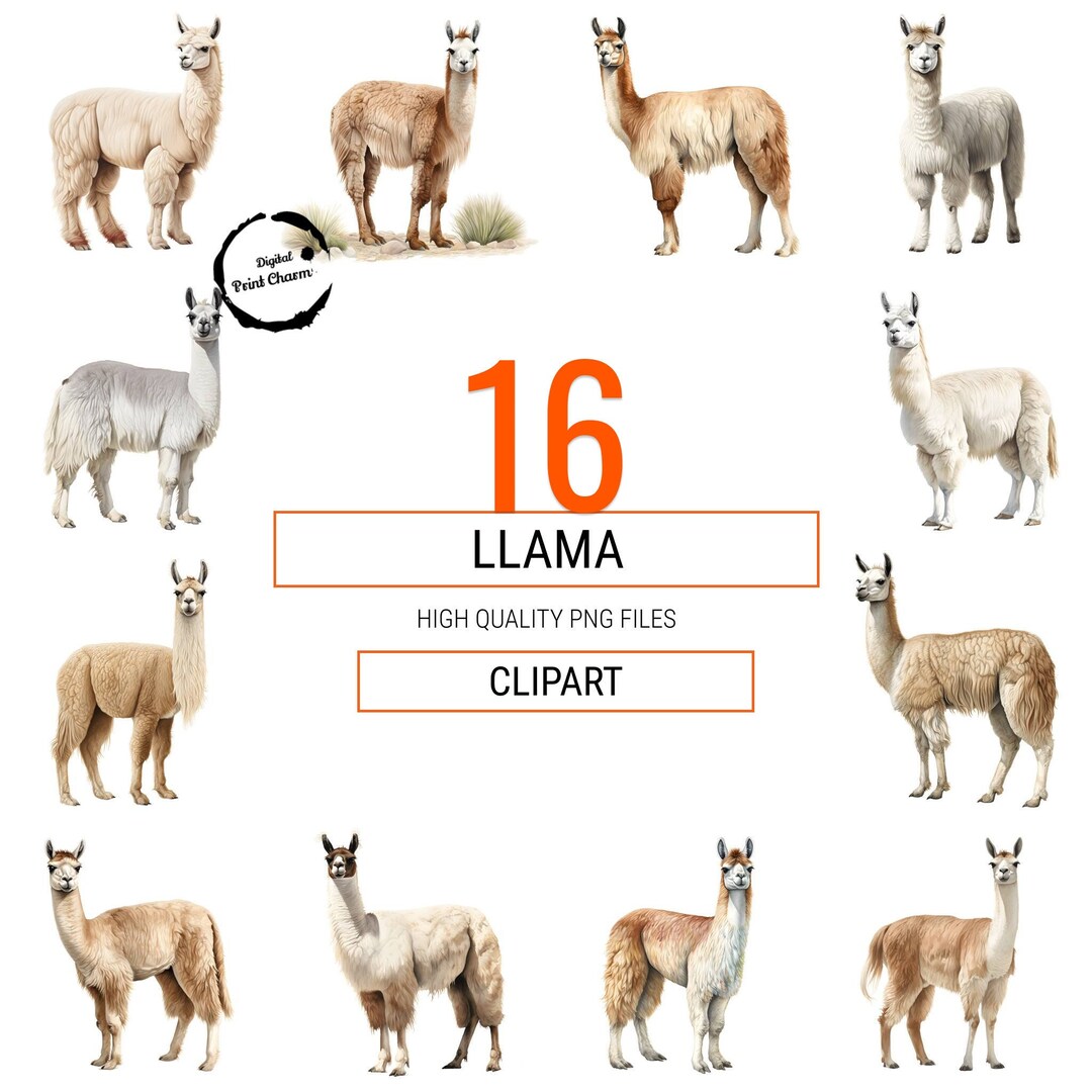 Llama Clipart Bundle Realistic Watercolor Style 16 Digital Llama Prints ...