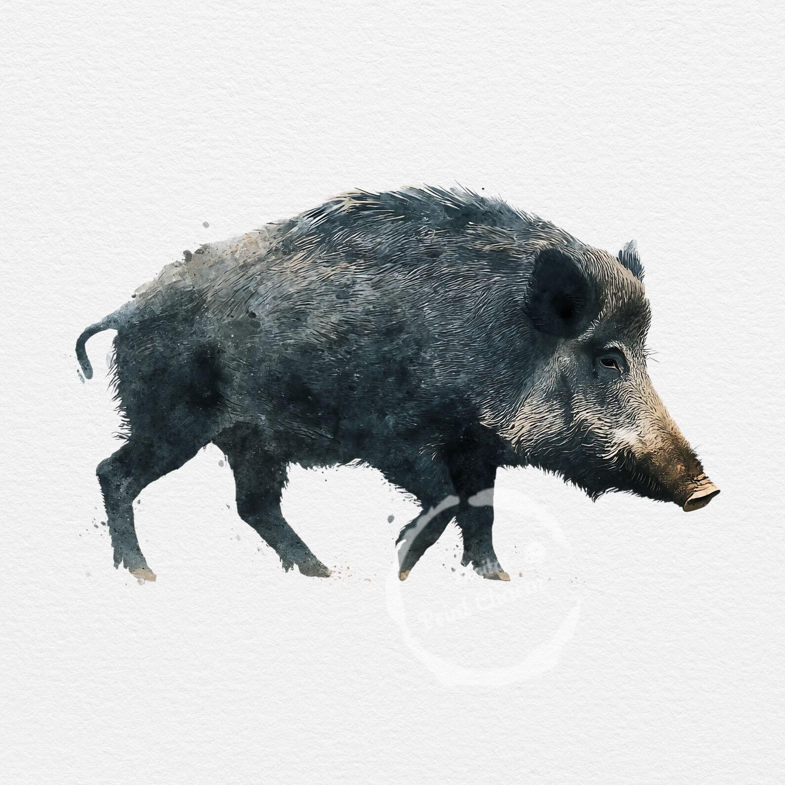 Realistic Wild Boar Clipart Bundle | 20 Wild Hog Illustrations ...