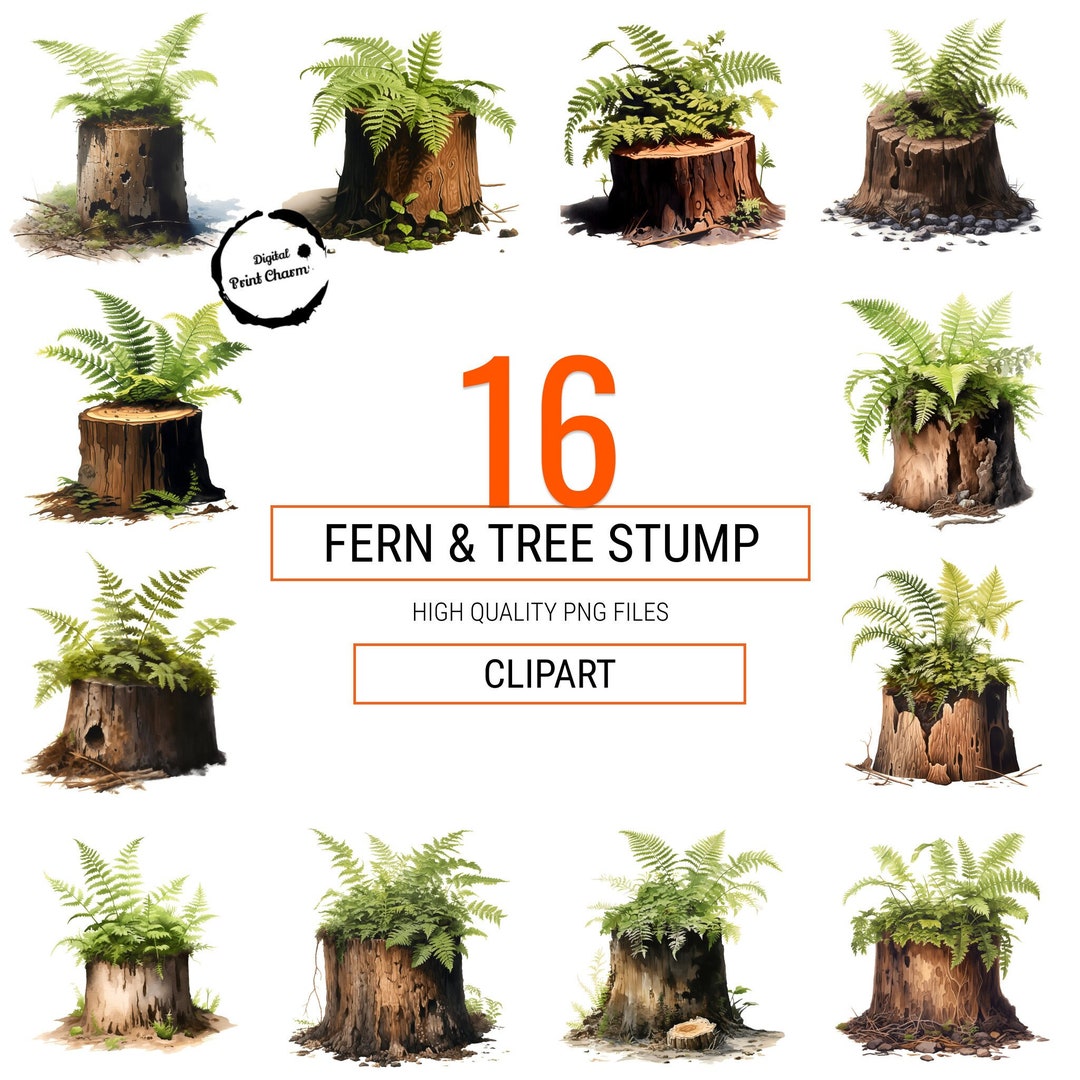 Watercolor Ferns & Tree Stumps Realistic Digital Prints 16 - Etsy
