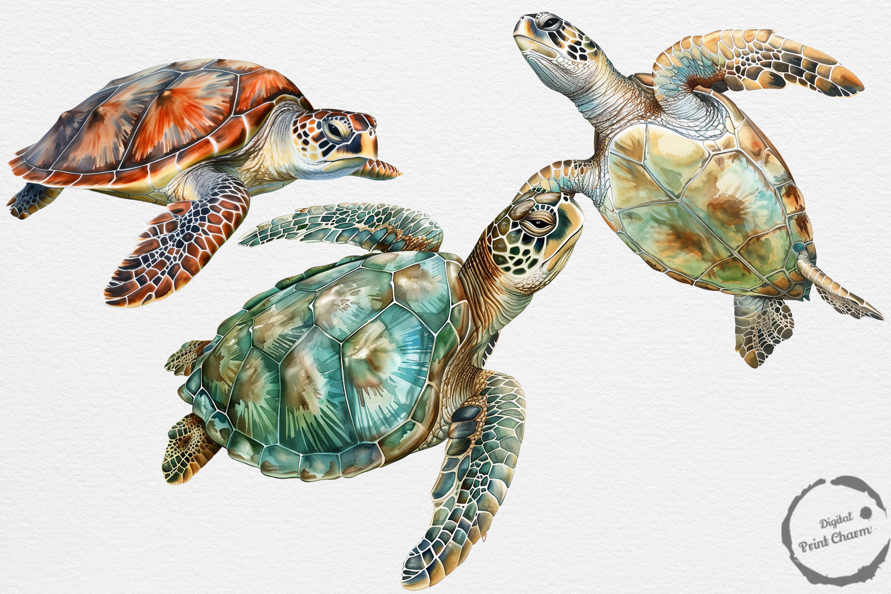 Watercolor Sea Turtles Clipart 20 Realistic Ocean Creatures Digital ...