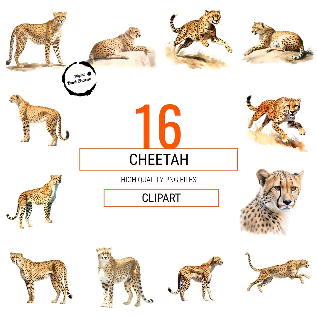 Watercolor Cheetahs Bundle Realistic Digital Prints 16 Cliparts for ...