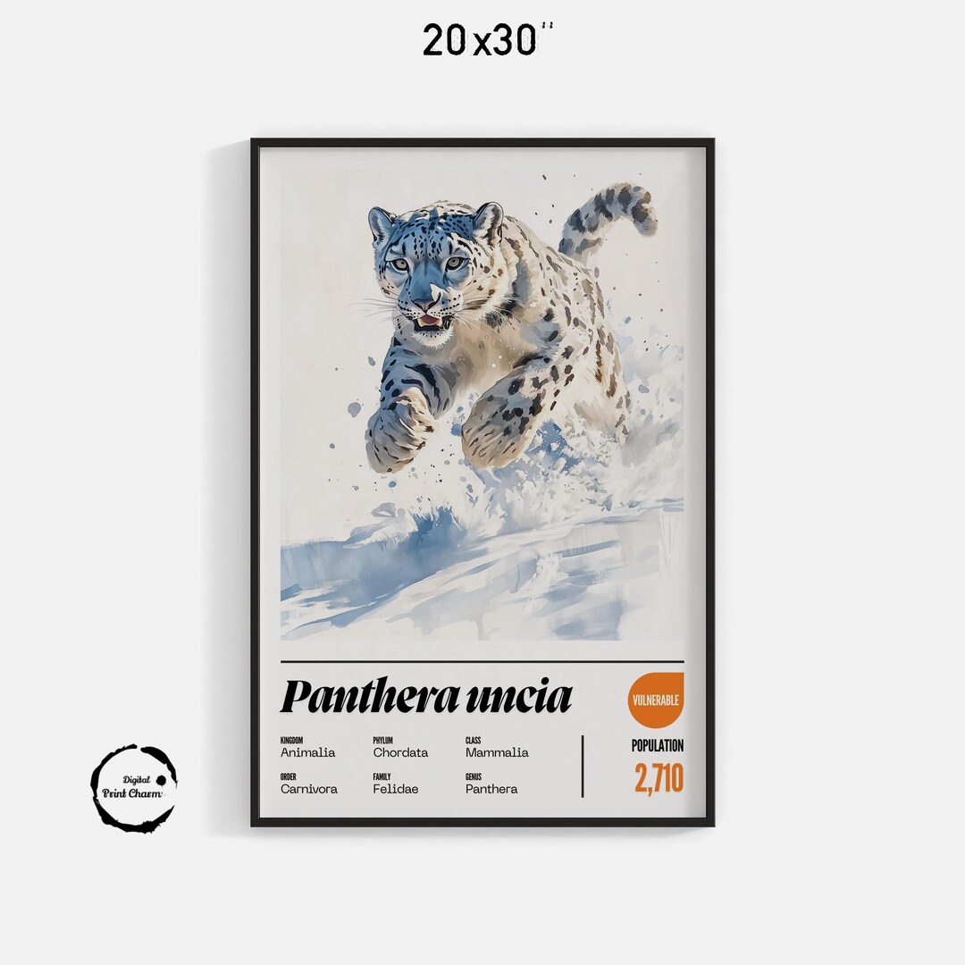 Exclusive: Stunning Snow Leopard Poster With Taxonomy & Conservation ...