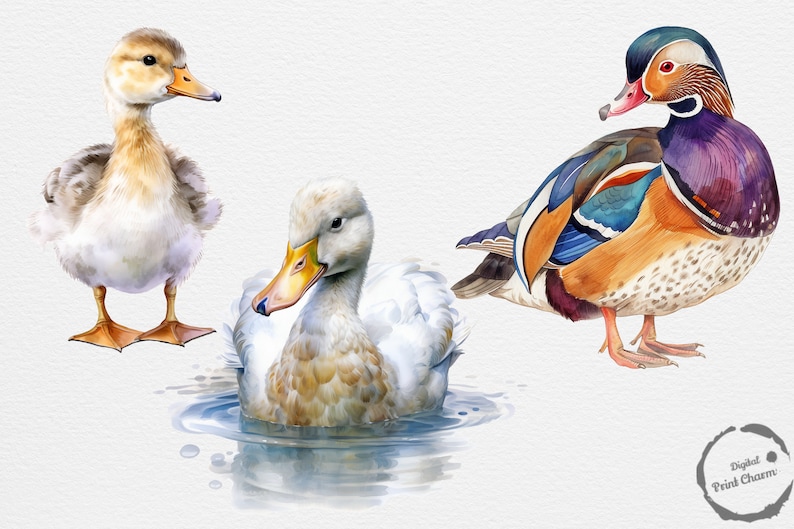 20 Realistic Watercolor Duck Clipart Set Digital Prints Scrapbooking ...