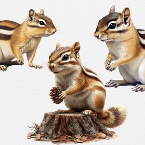 Chipmunk Charm PNG | 20 Watercolor Wonders | Forest Friends Collection ...