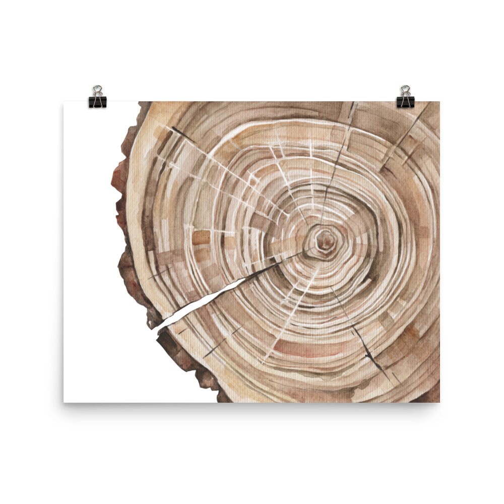 Tree Ring Art Print Abstract Floral Watercolor Painting Oak Tree Ring ...
