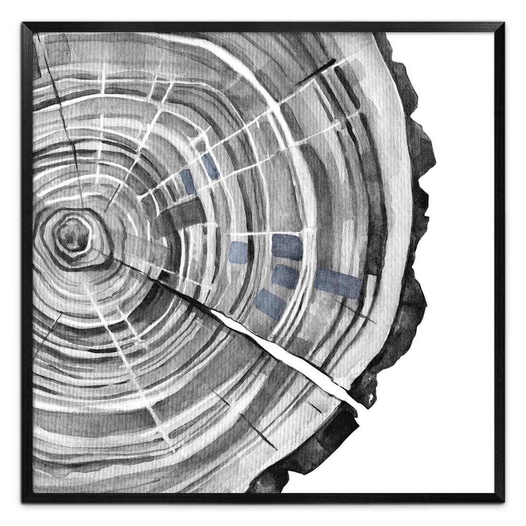Tree Ring Art Print Oak Tree Watercolor Painting Woodcut Art Large Tree ...