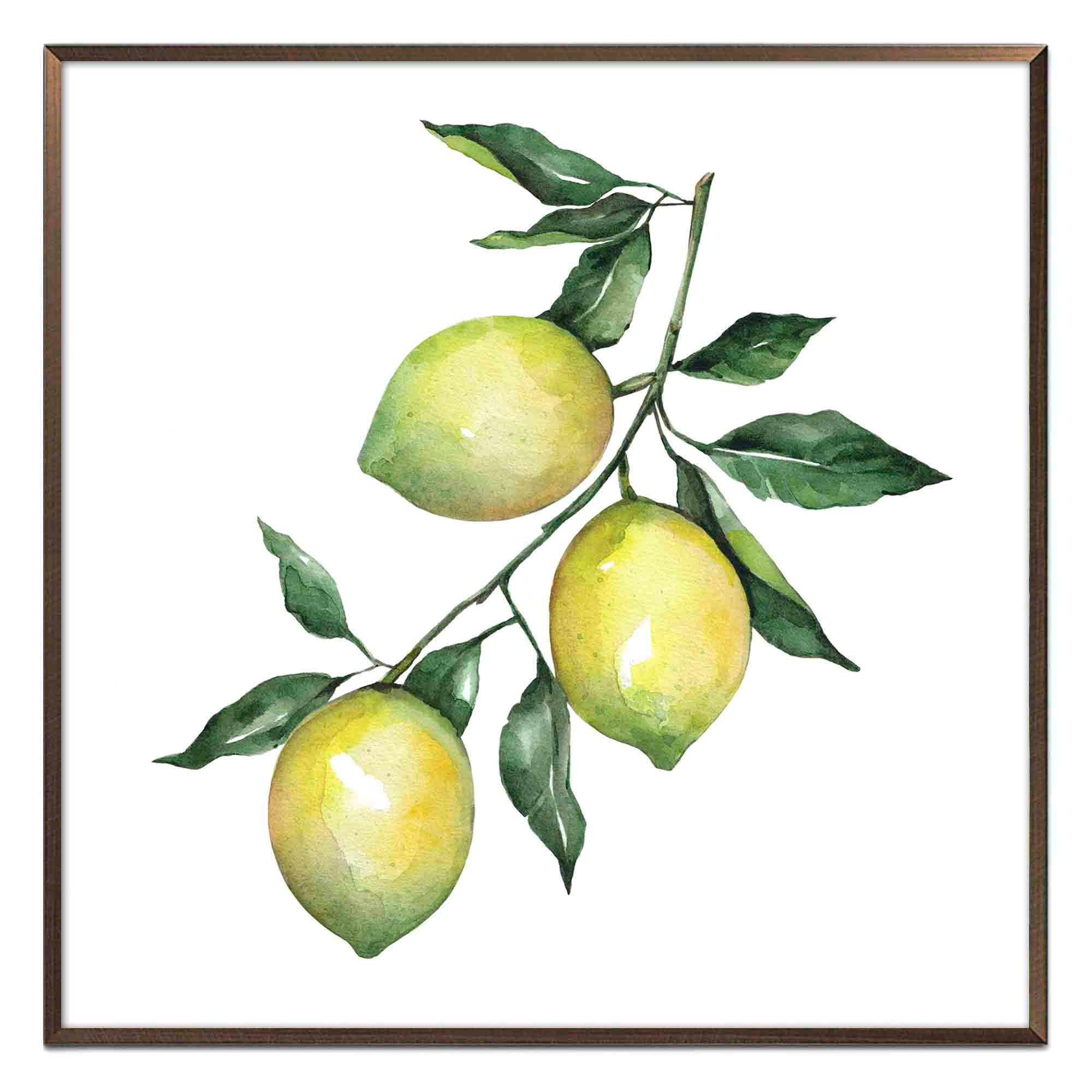 Lemon Art Print Fruit Watercolor Painting Vegan Food Wall Art Vintage ...