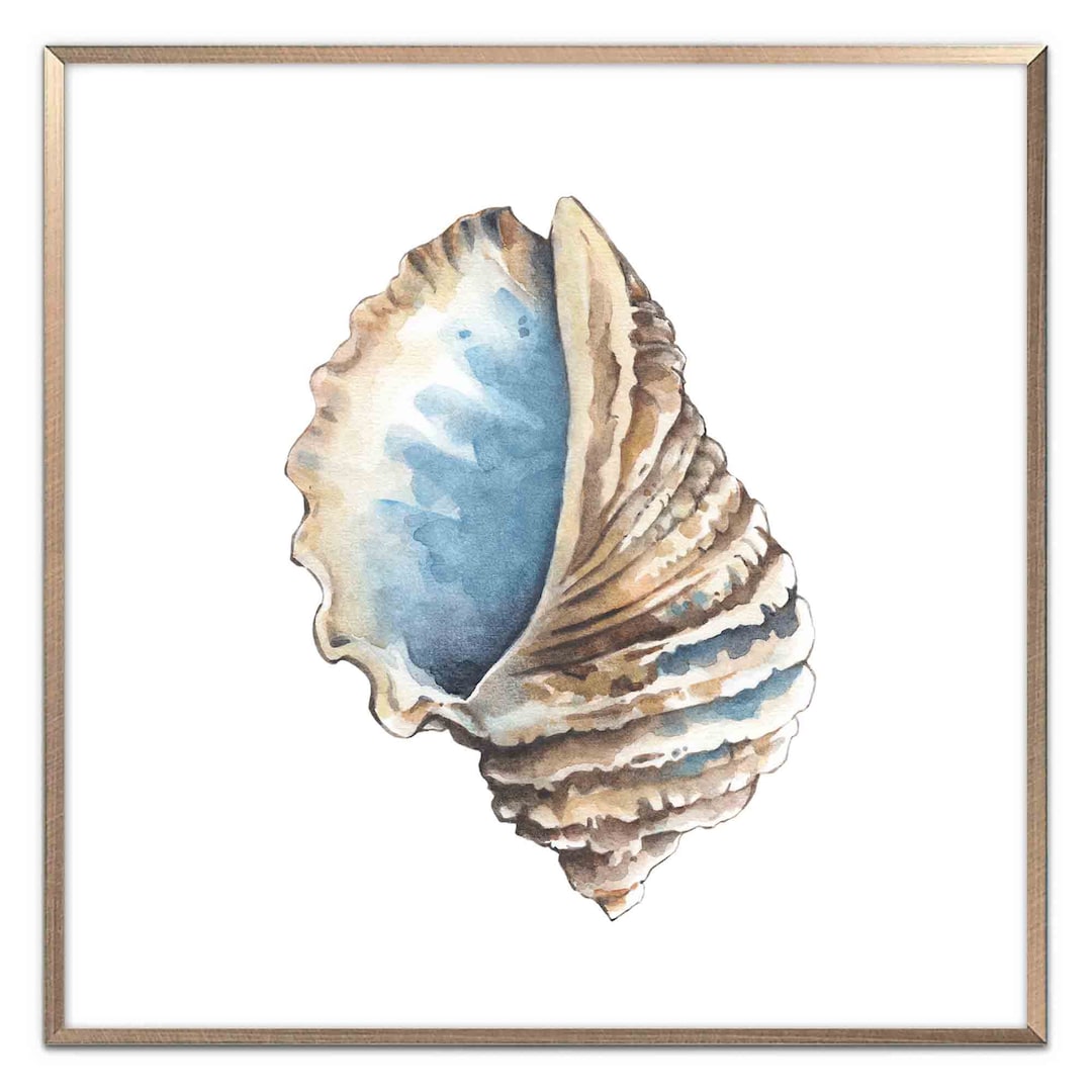 Seashell Art Print Shell Watercolor Painting Underwater Wall Art Beach ...