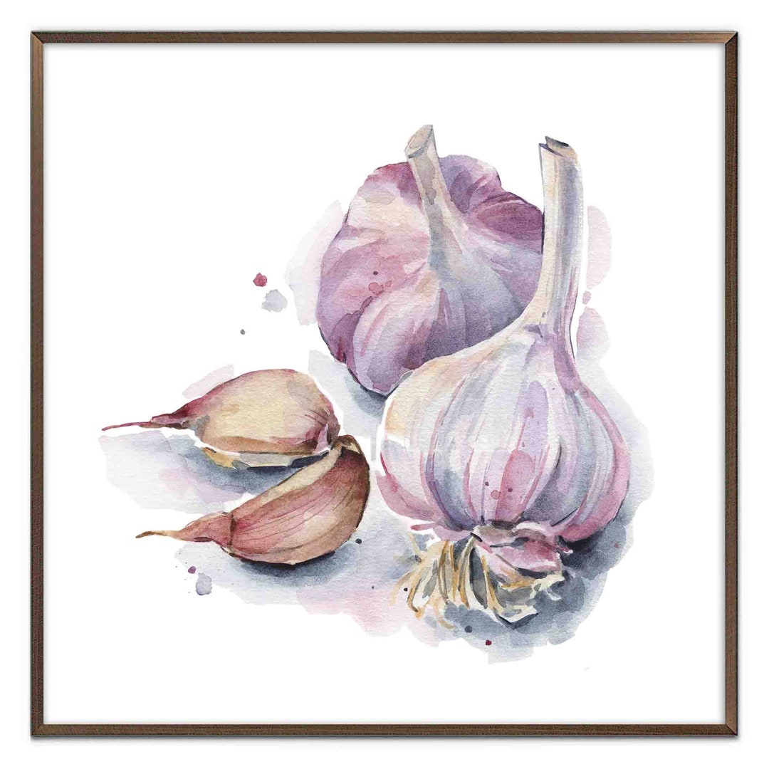 Garlic Art Print Food Watercolor Painting Vegan Poster Kitchen Wall Art ...