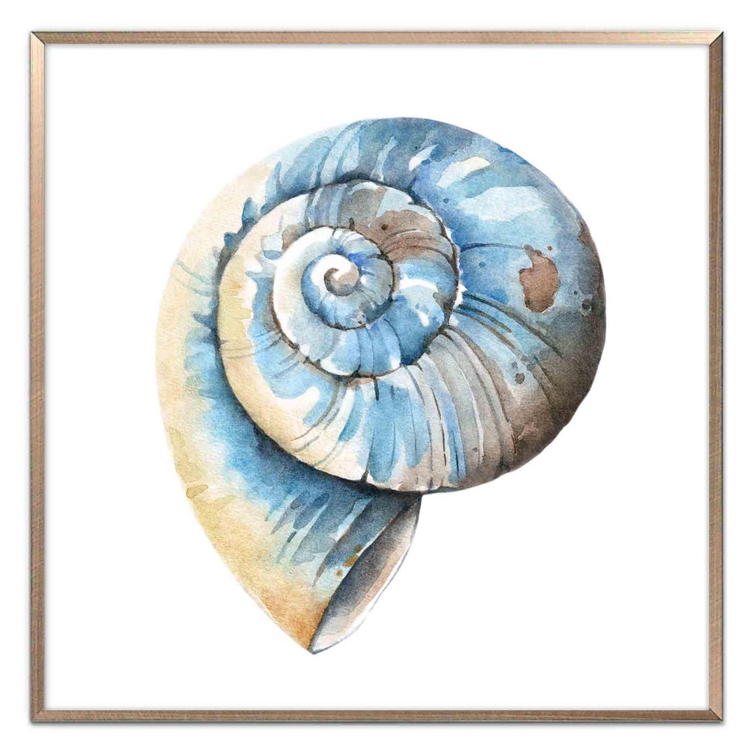 Sea Shell Painting Clam Art Print Coastal Watercolor Painting Seashell ...