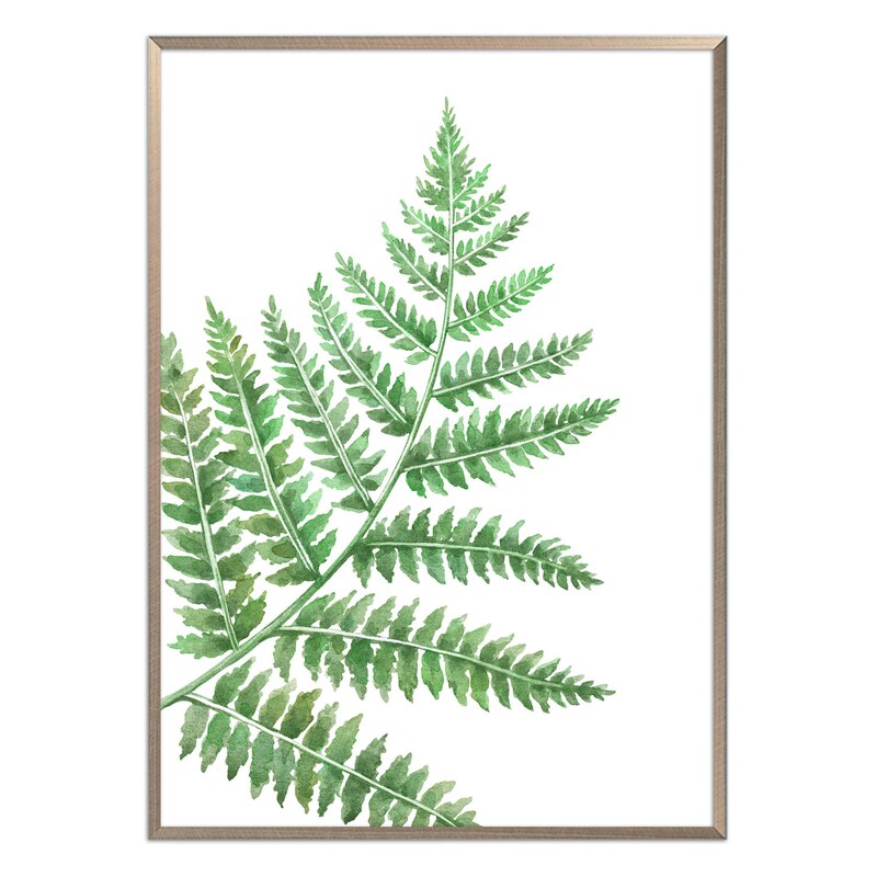 Fern Art - Etsy