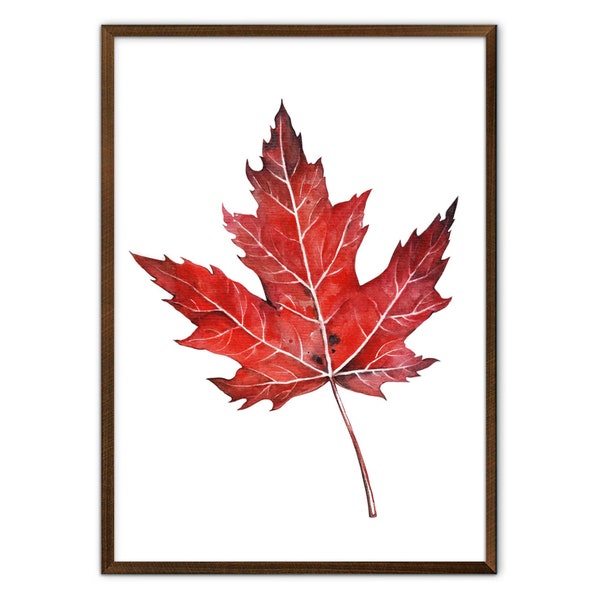 Red Maple - Etsy