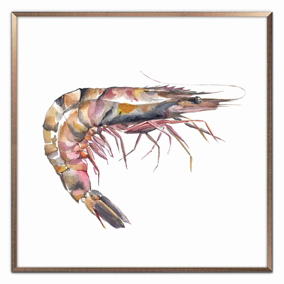 Shrimp Watercolor Painting Seafood Art Print Kitchen Wall Art Prawn Art ...