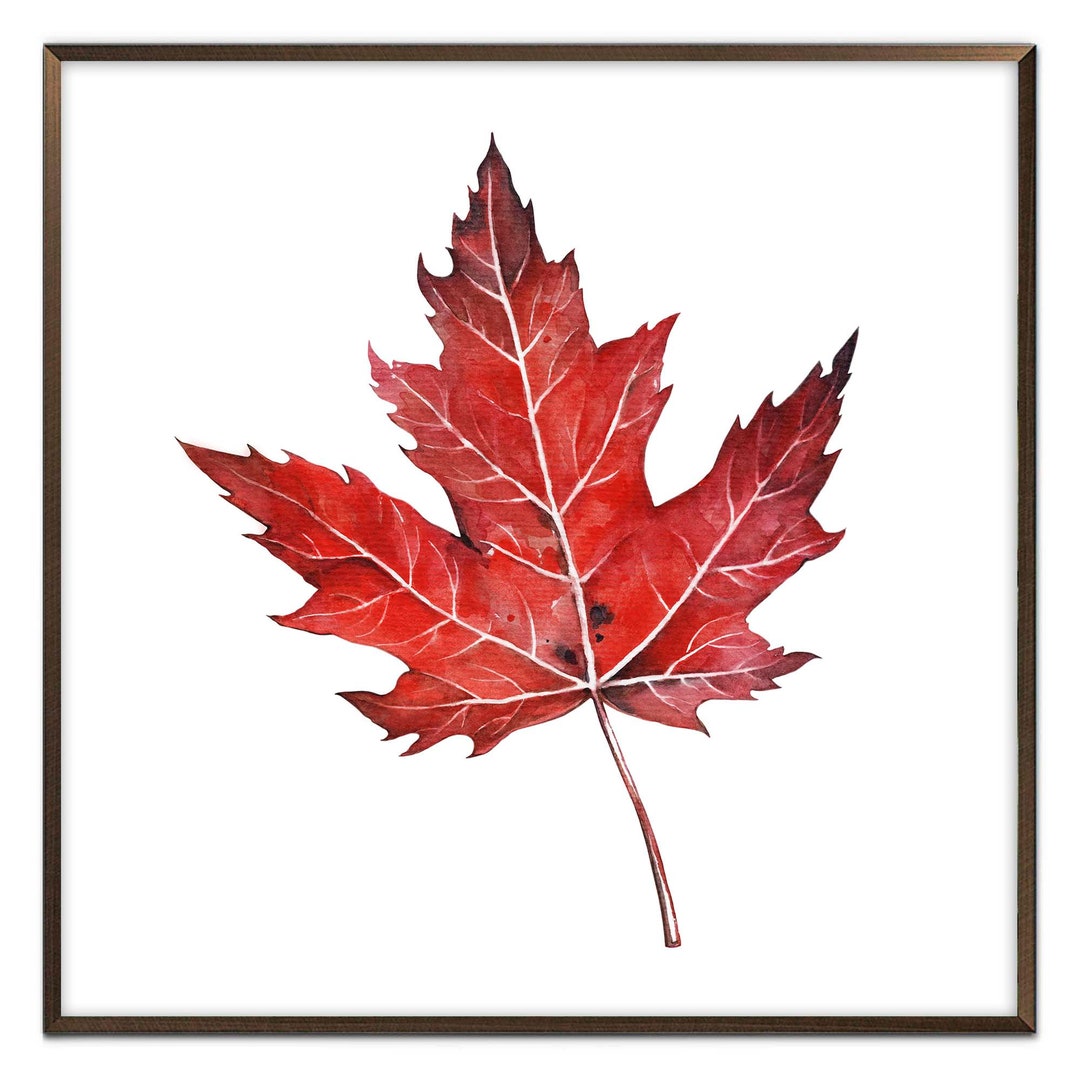 Red Maple Leaf Art Print Fall Floral Watercolor Painting Canadian Maple ...