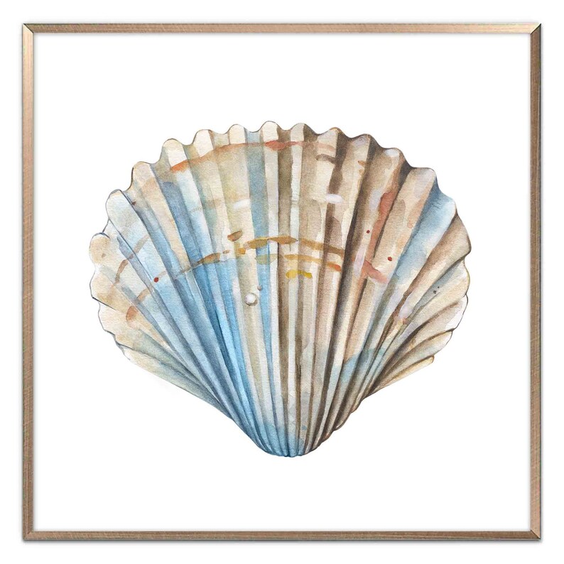 Seashell Wall Art Clam Art Print Coastal Watercolor Painting Shell Art ...