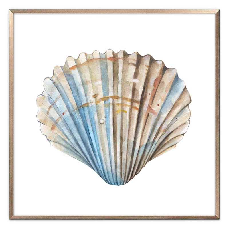 Shell Painting - Etsy