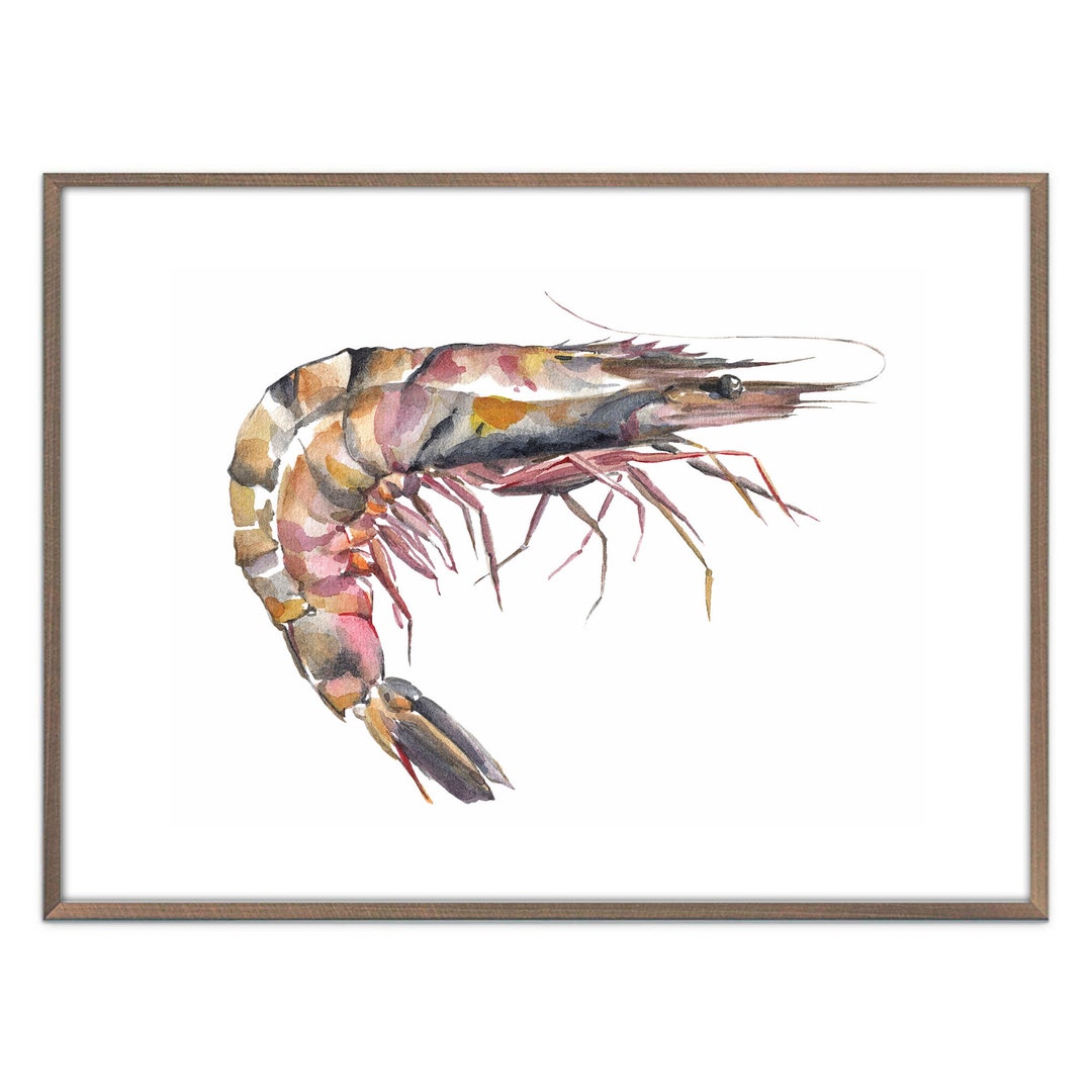 Shrimp Art Print Sea Animal Watercolor Painting Kitchen Wall Art Prawn ...