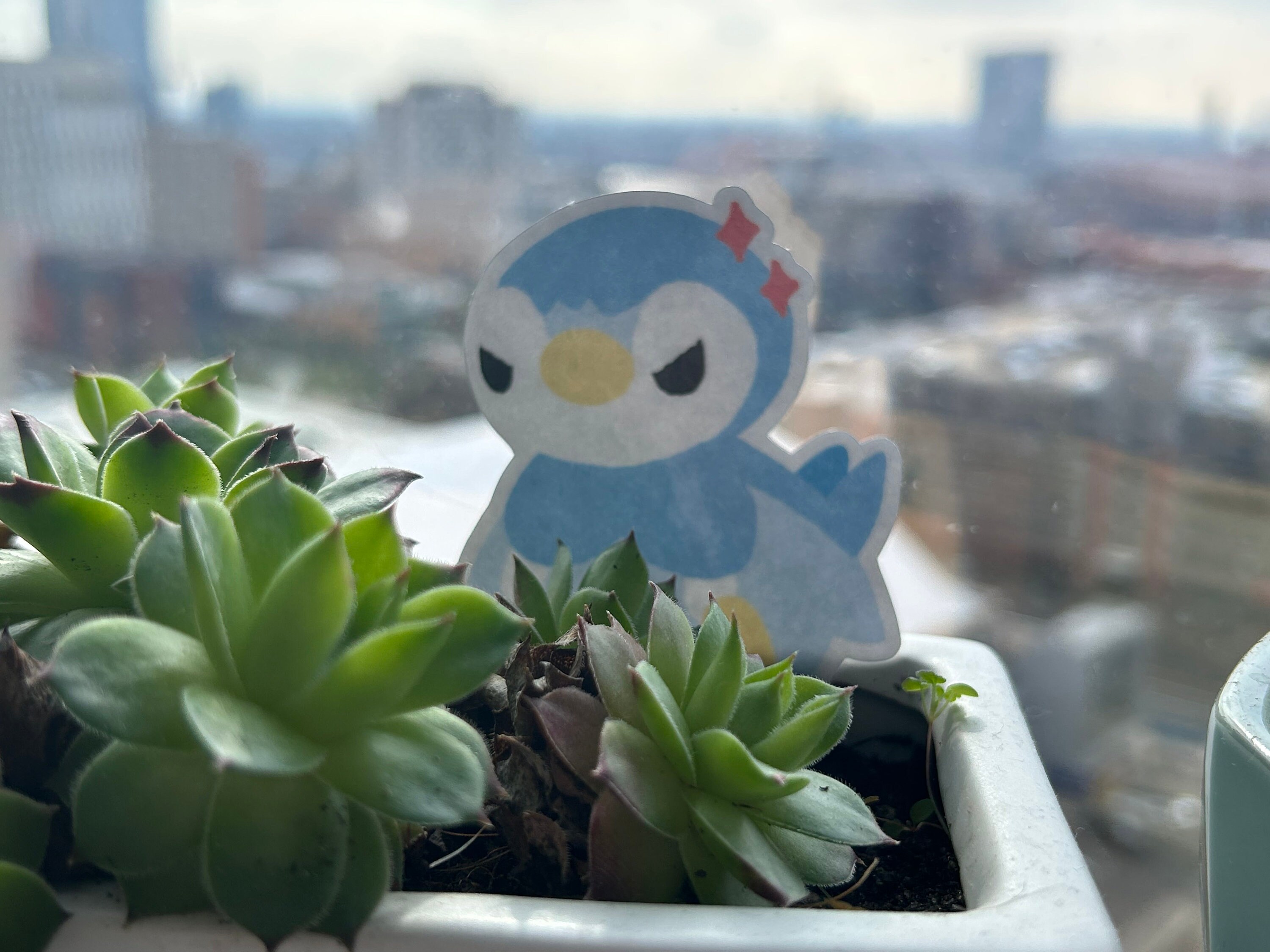 Pokemon Piplup Angry Cute, Great for Laptops, Books, Phones, Pokémon ...