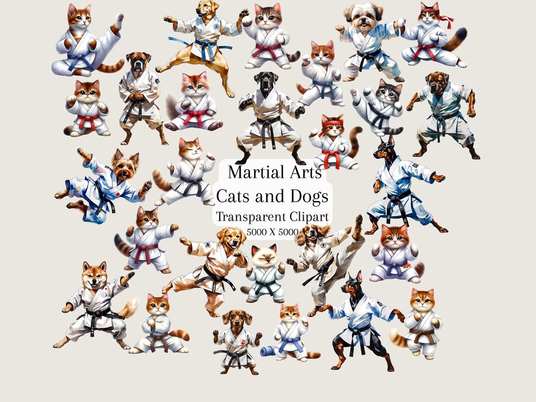 27 Martial Arts Cats and Dogs Karate Clipart PNG Images - Etsy