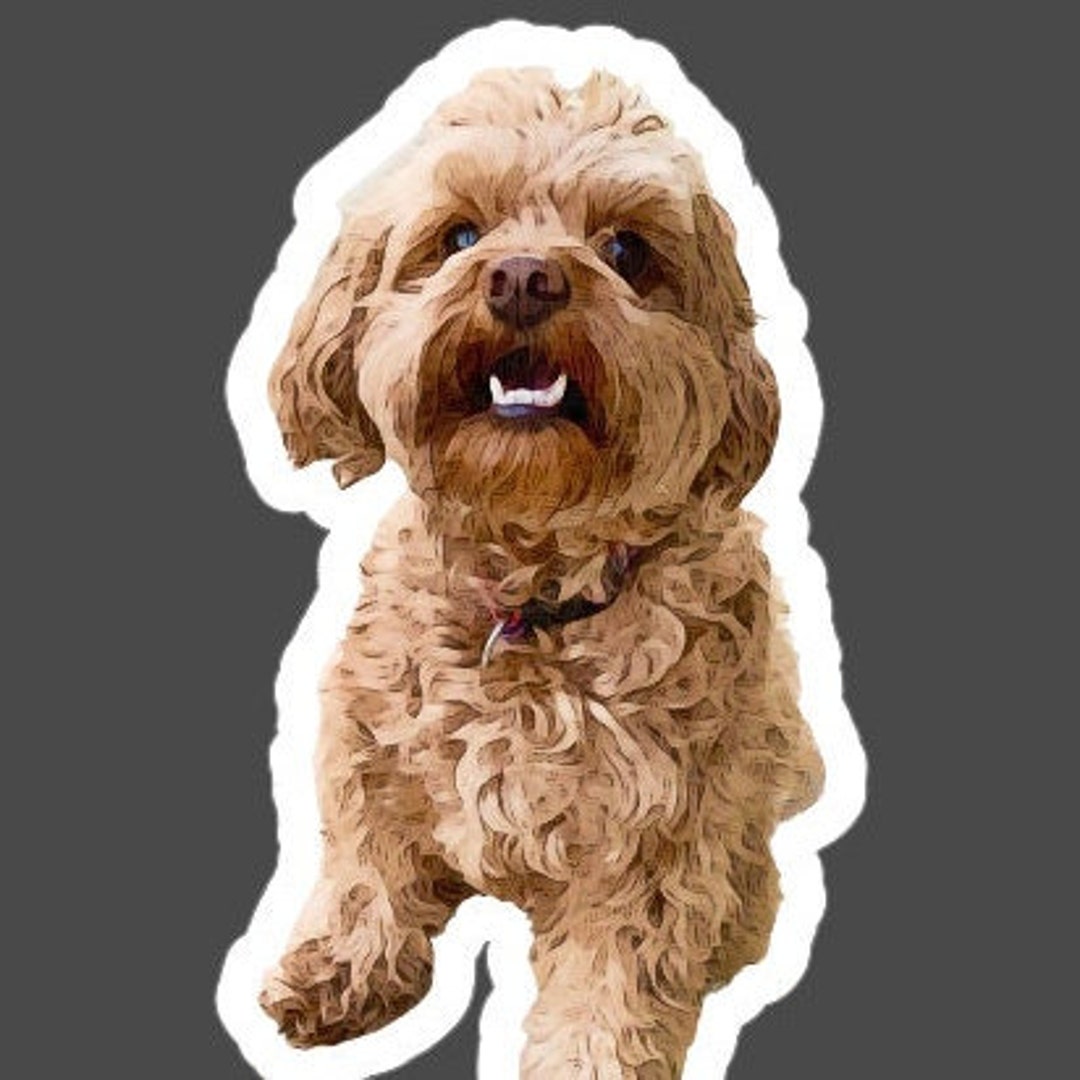 Dog Sticker - Tan Cavapoo - Etsy