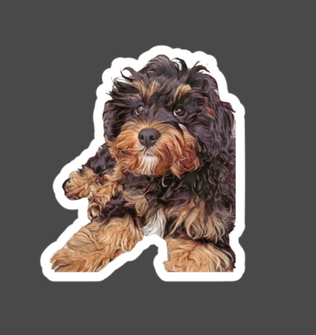 Dog Sticker - Black and Tan Cavapoo - Etsy