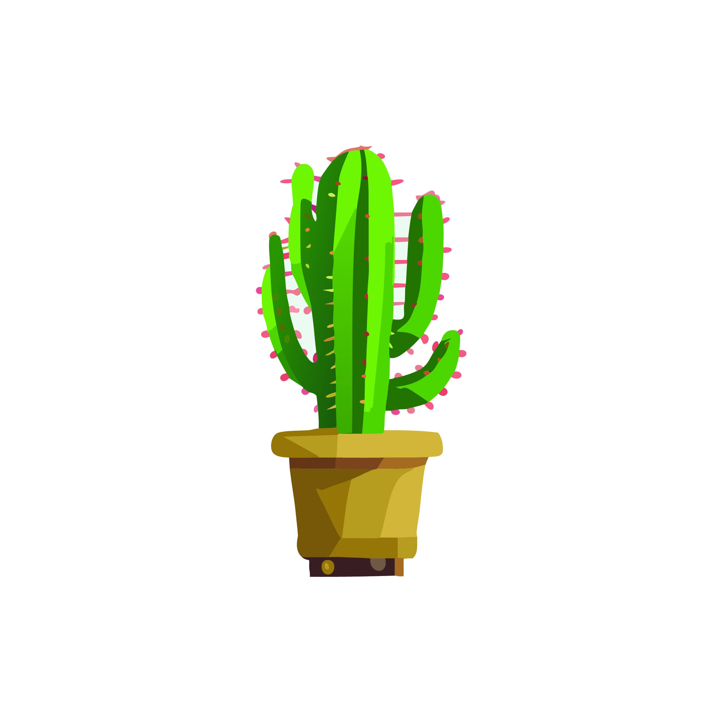 Cactus SVG Transparent Background Cactus Png Cacti SVG - Etsy