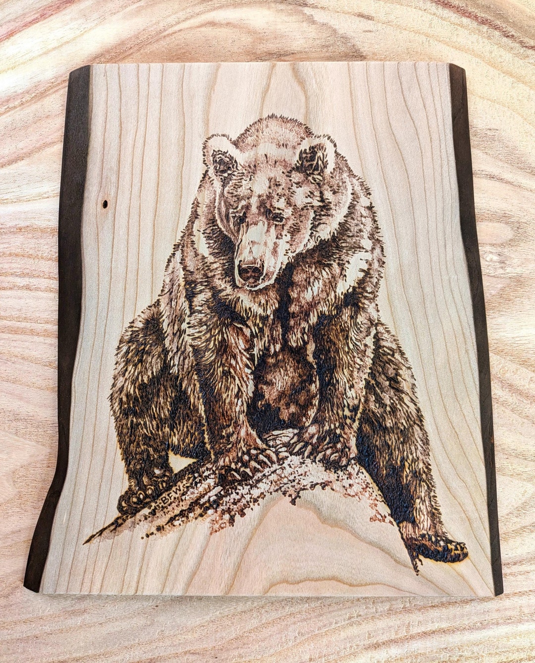 Katmai Bear 901, Alaskan Brown Bear, Original Hand Burned Wildlife Art ...