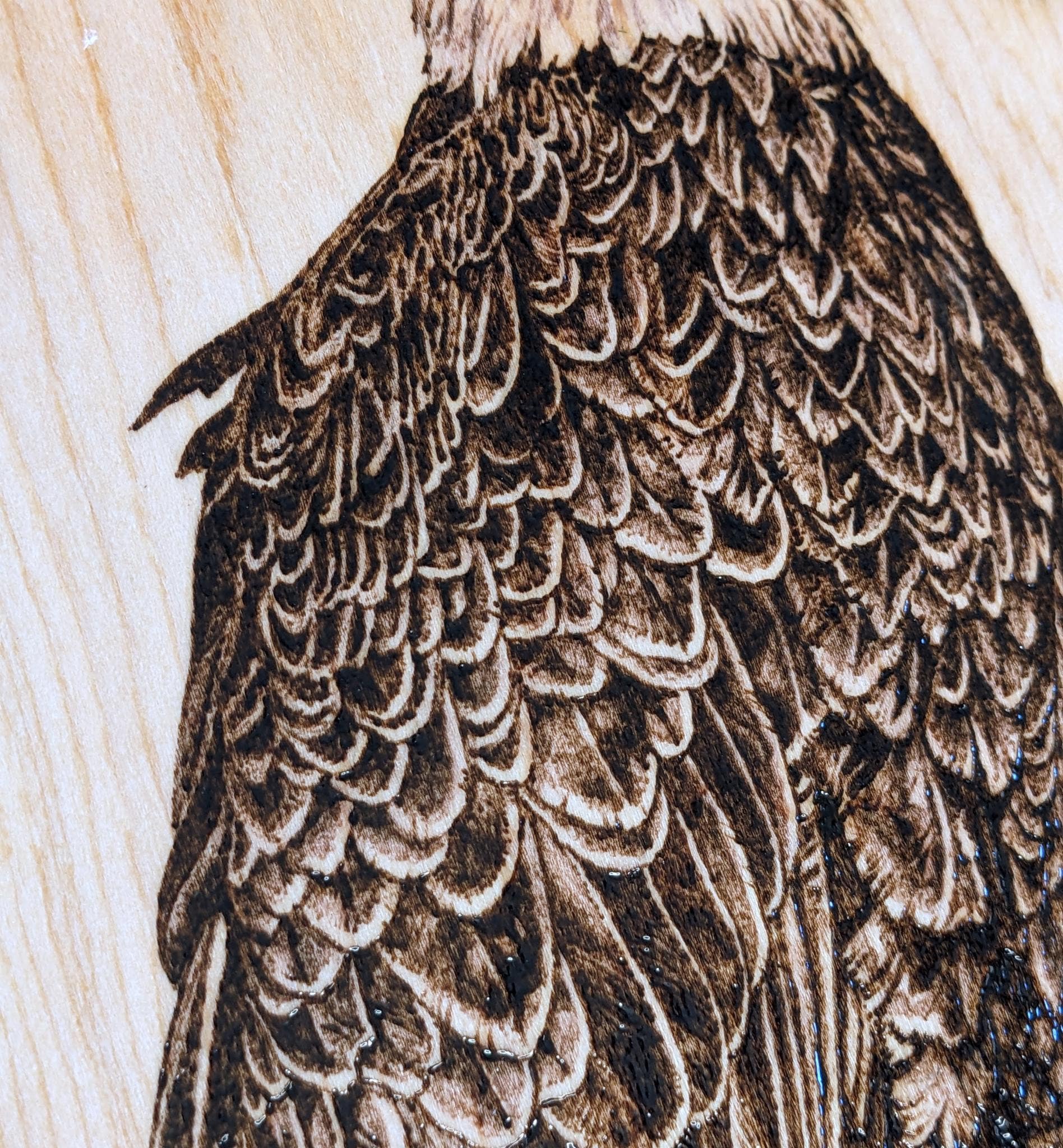 Bald Eagle, Original Hand Burned Wildlife Art, Pyrography on Live Edge ...